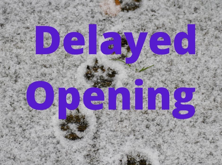 Adopt Archives - Second Chance Animals