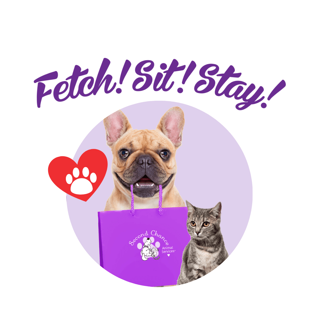 Fetch! Sit! Stay! - Second Chance Animals