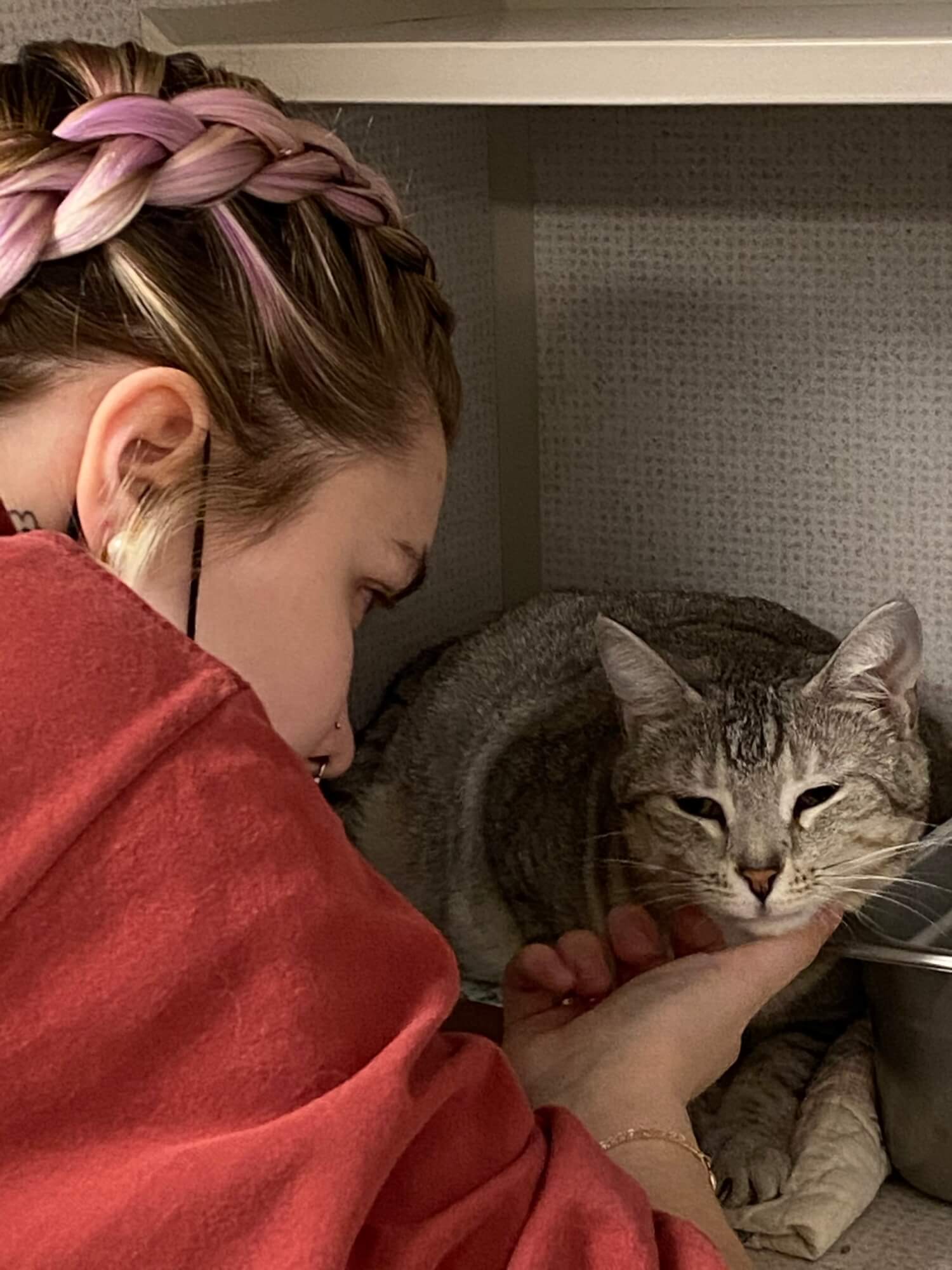 News Archives - Second Chance Animals