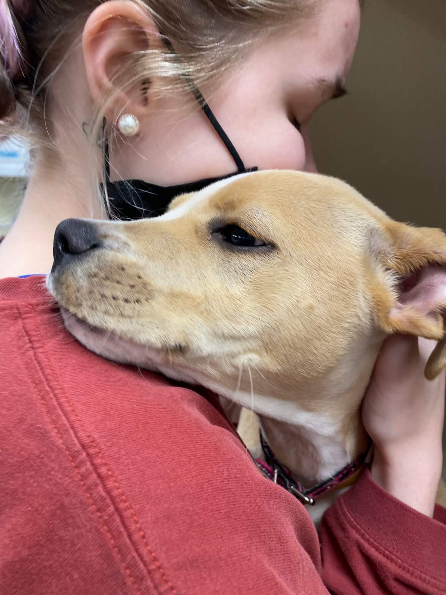 News Archives - Second Chance Animals