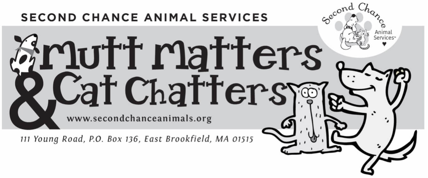 Summer 2021 Newsletter - Second Chance Animals