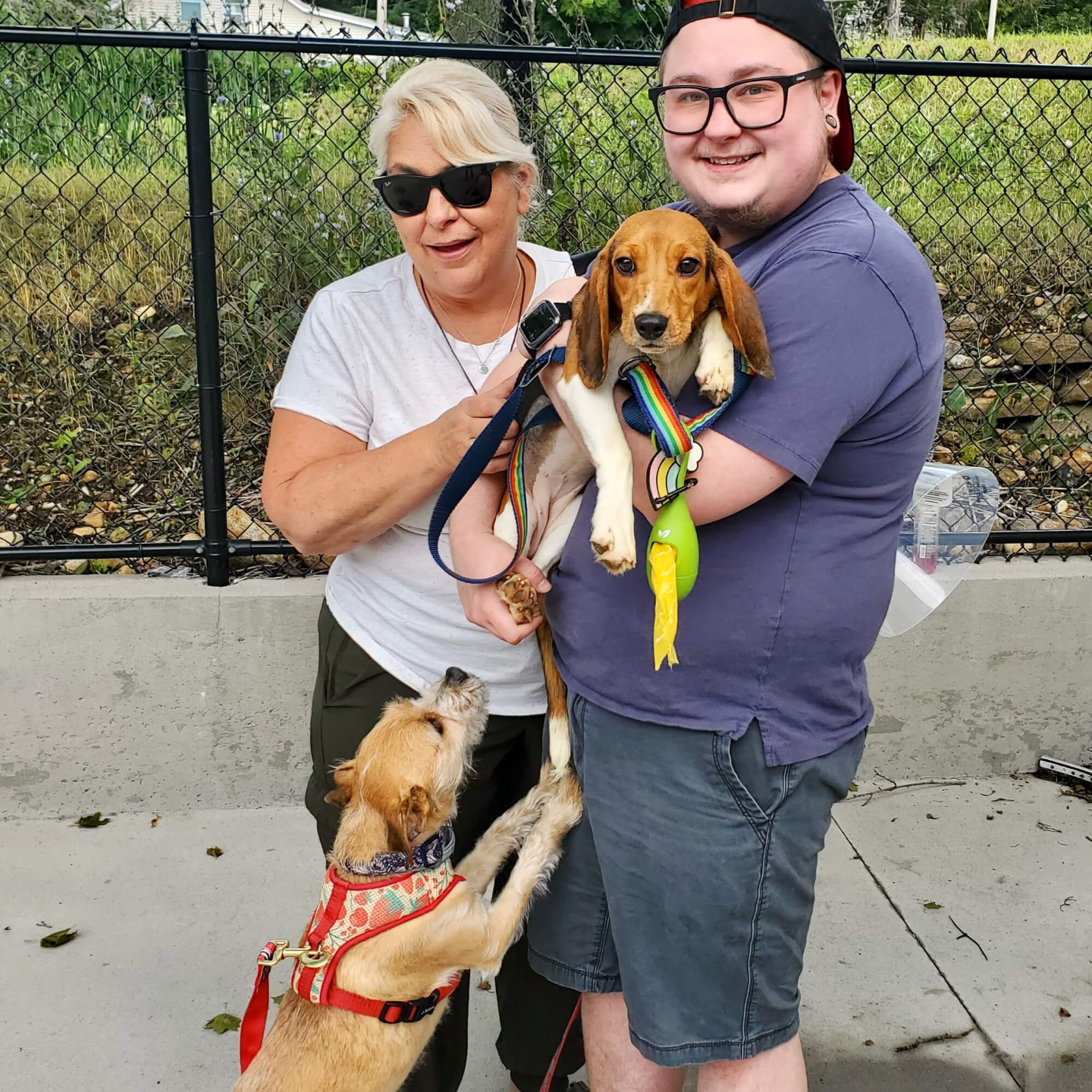 Beagle Diary - Second Chance Animals