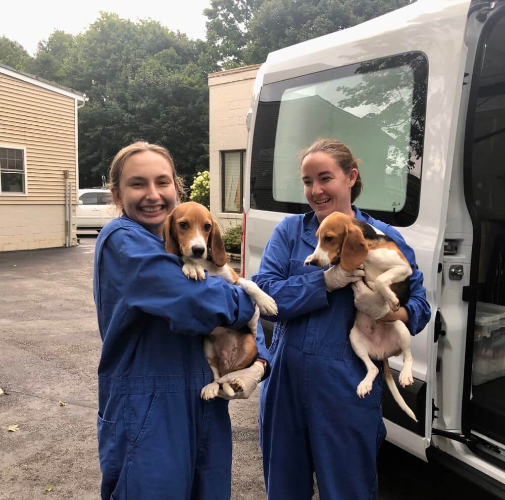 Beagle Diary - Second Chance Animals