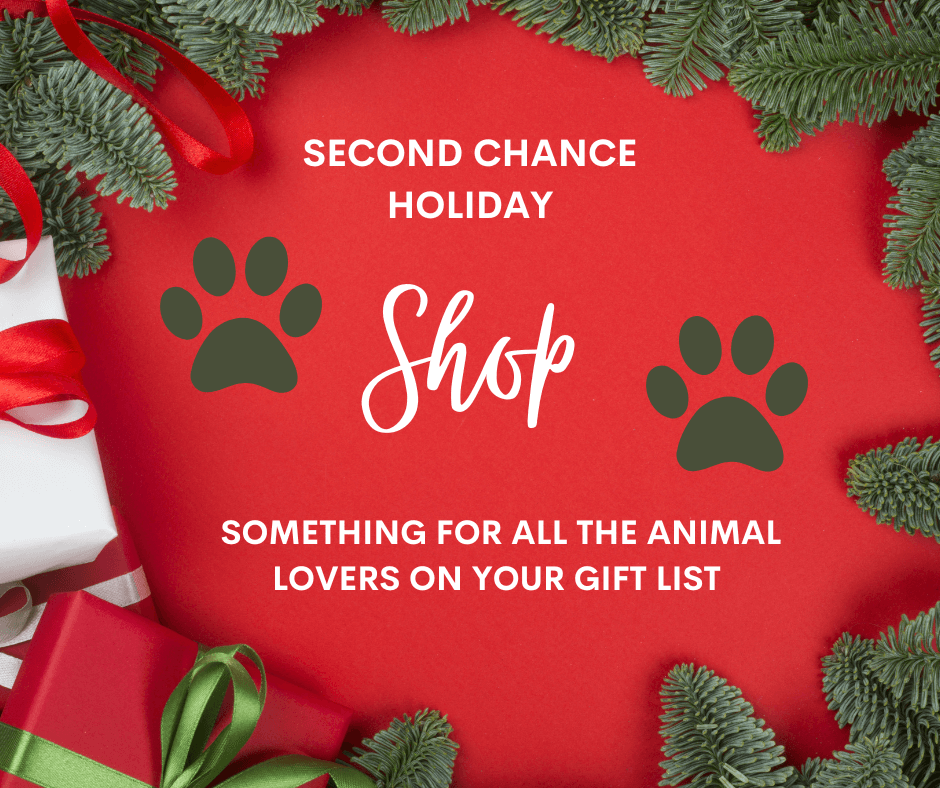 Holiday Pop-Up Shop - Second Chance Animals