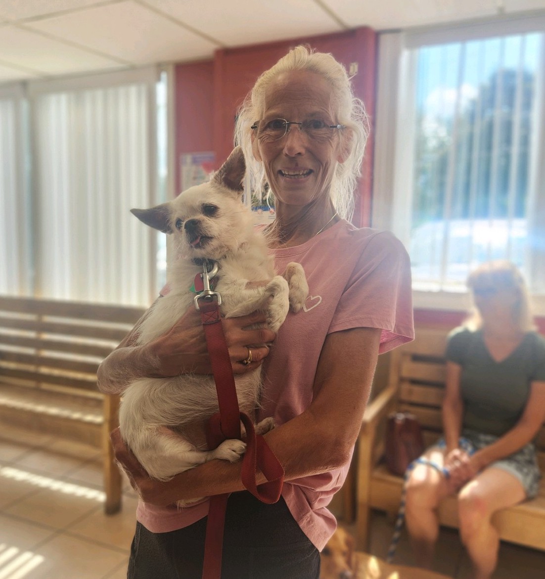 Senior Dogs Fetch Grant at Second Chance Community Veterinary Hospitals ...