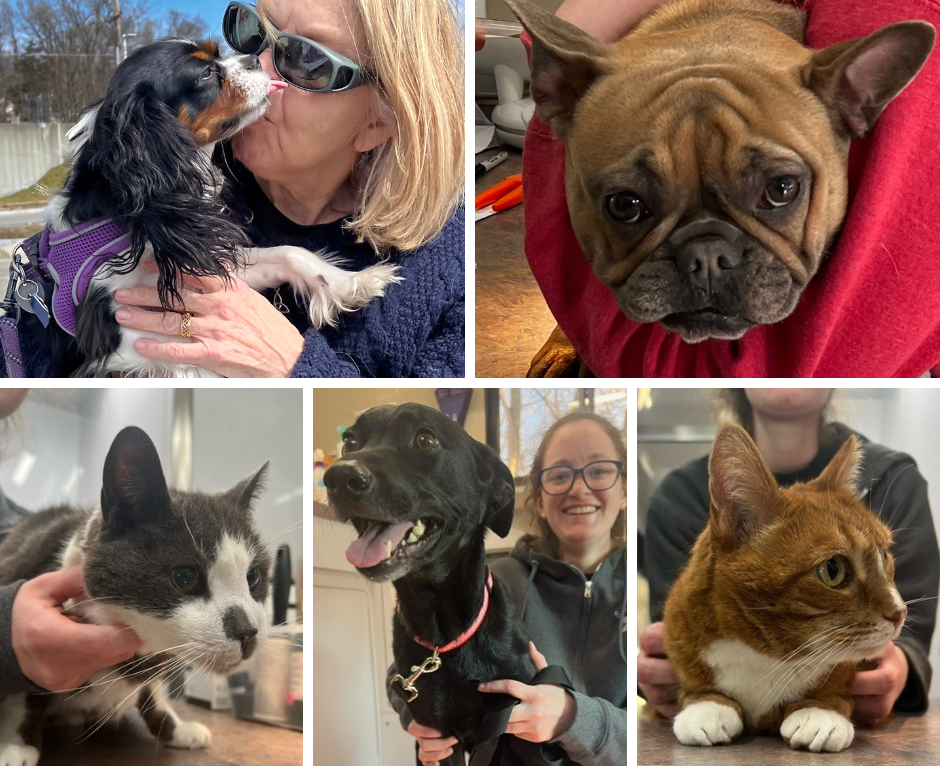 12 Days of Second Chances - Second Chance Animals