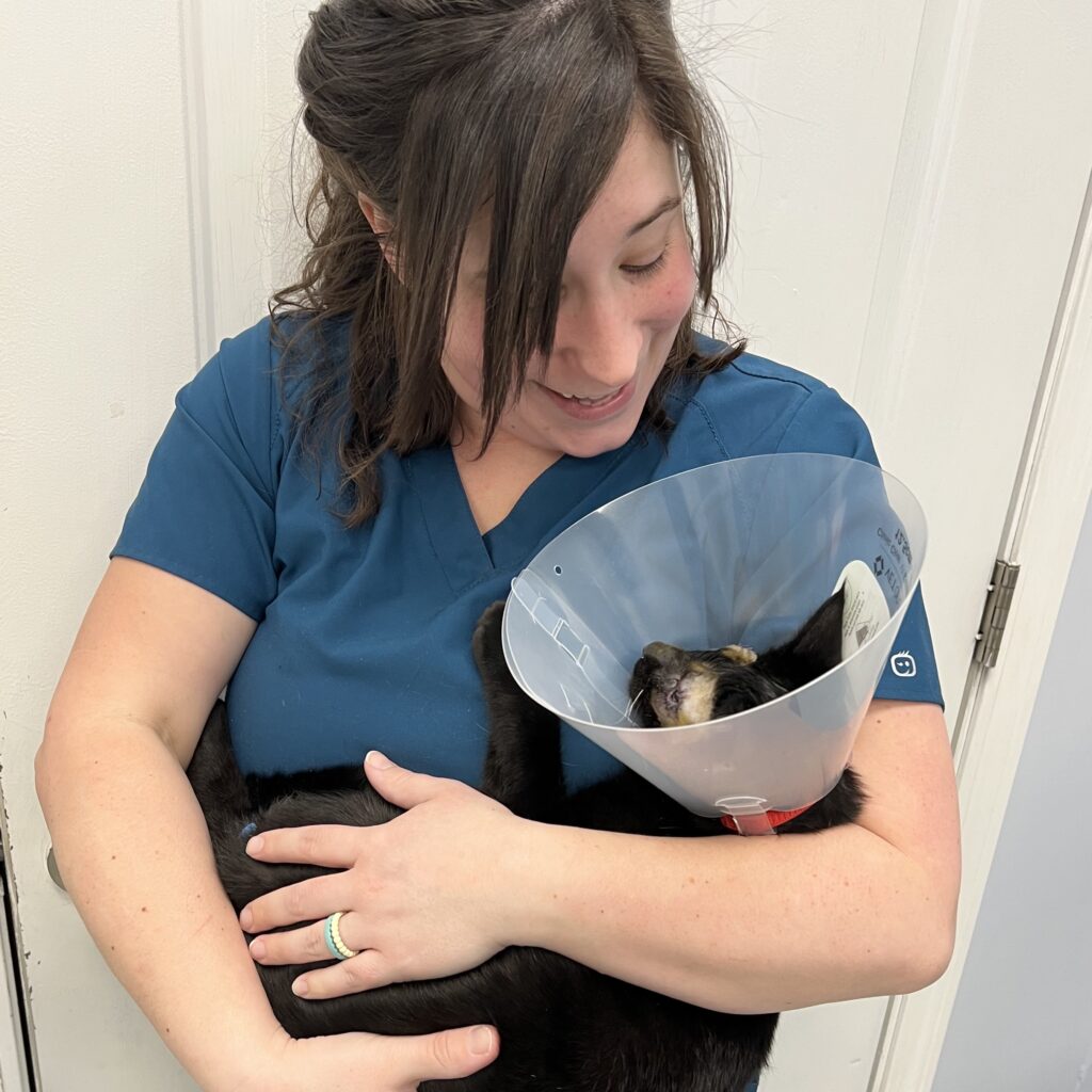 12 Days of Second Chances - Second Chance Animals