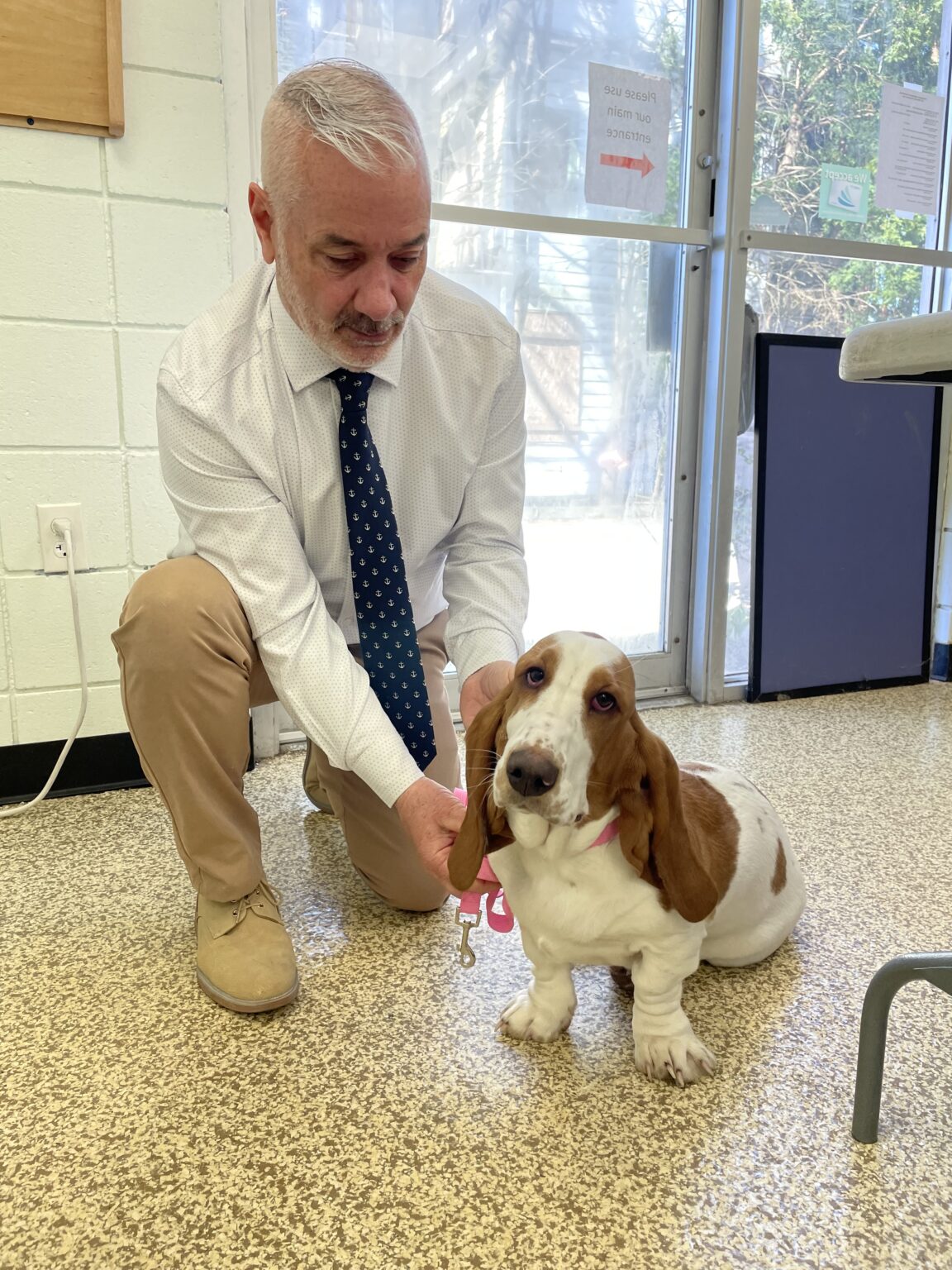 80,000th All-Time Spay/Neuter - Second Chance Animals