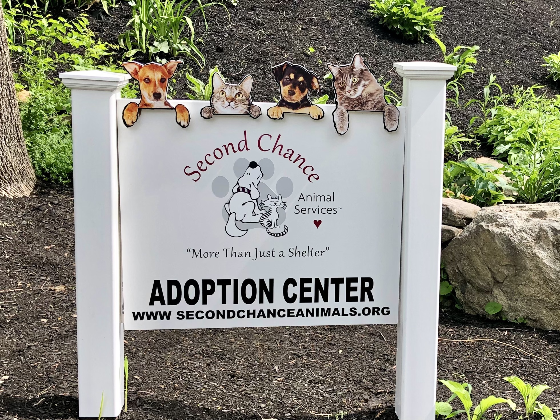 An Important Message from Second Chance - Second Chance Animals