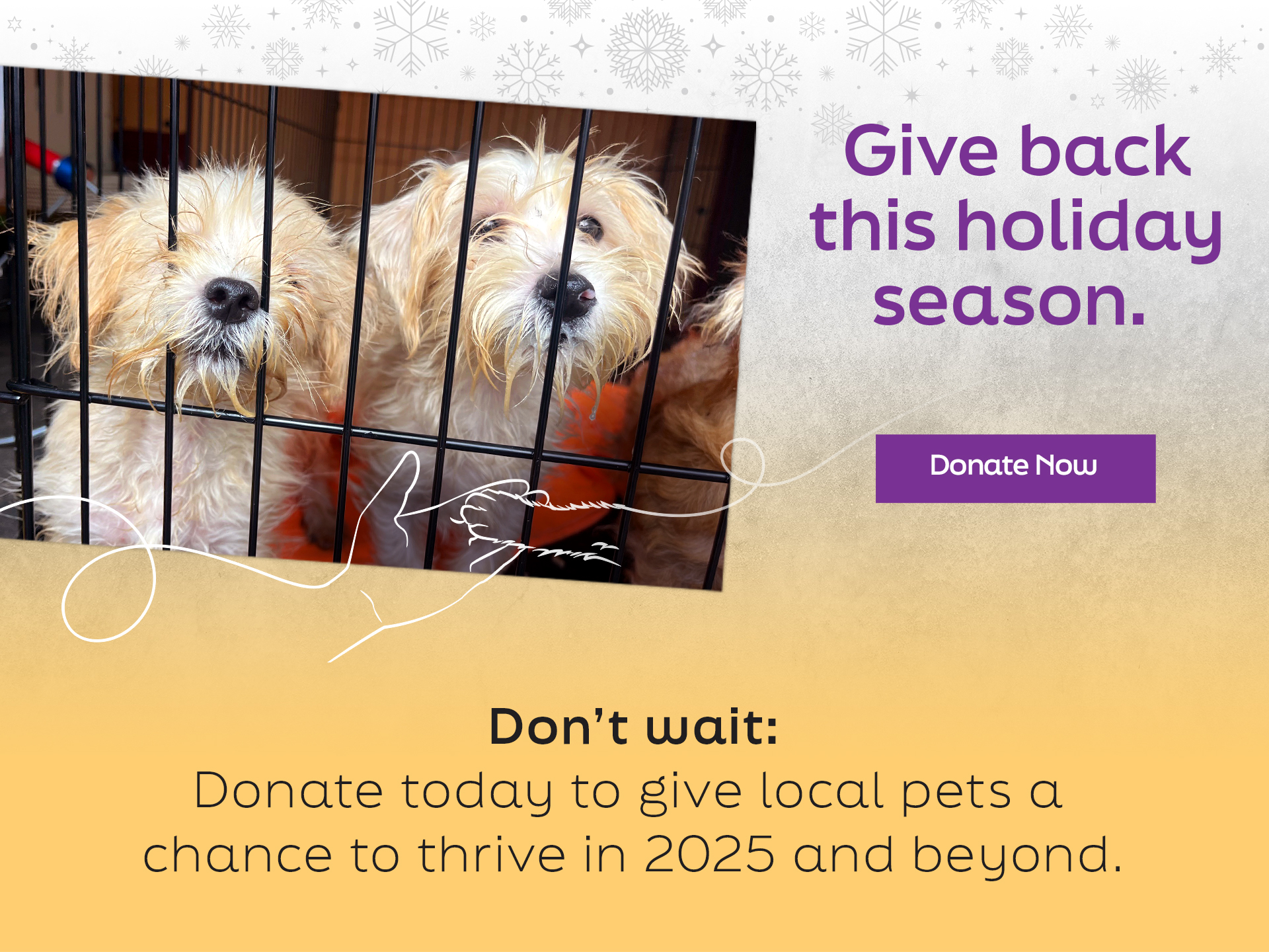 Adopt Archives - Second Chance Animals