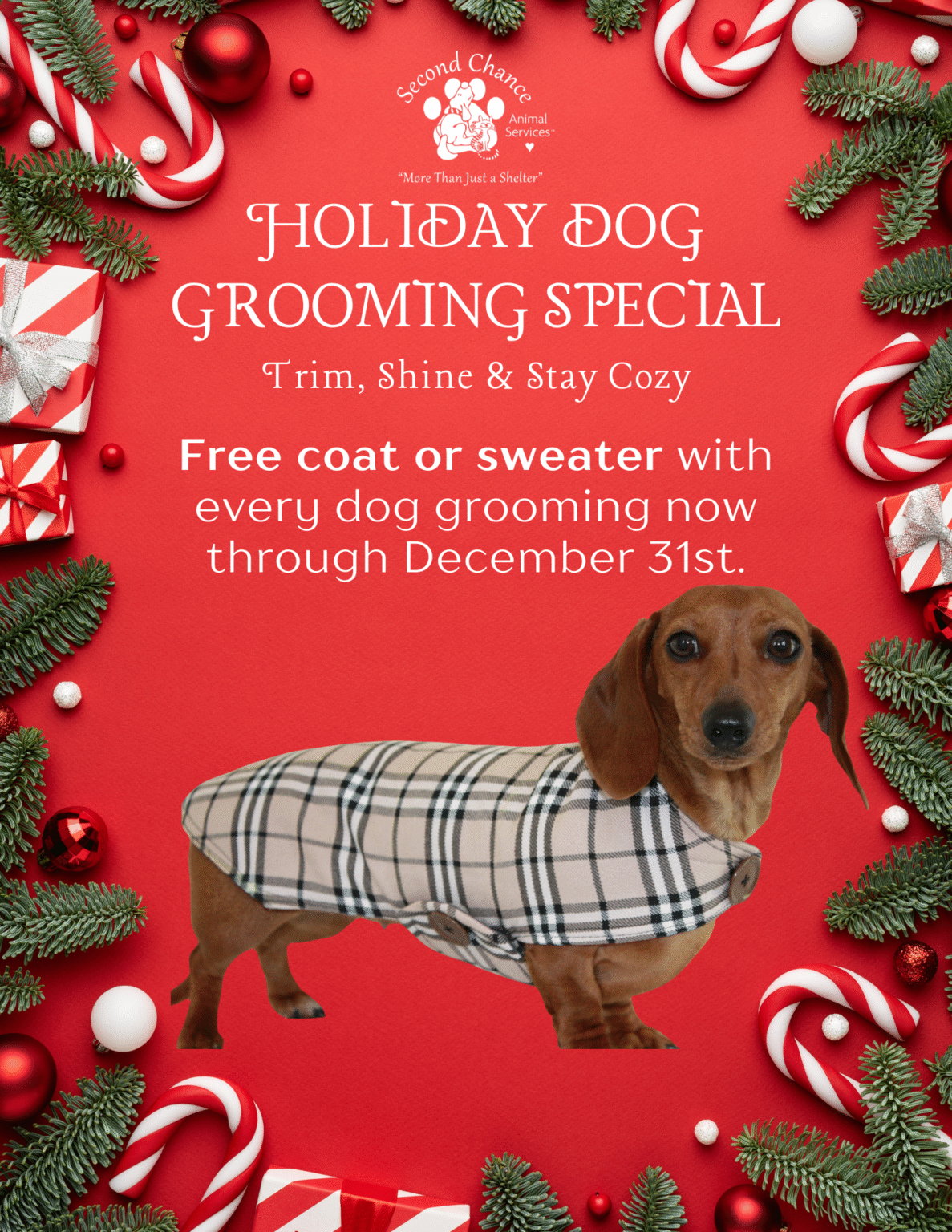 Holiday Grooming Special - Second Chance Animals